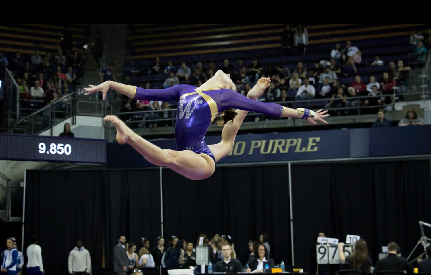 Washington Gymnastics: NCAA Seattle Regional - SplitPrecision Photography