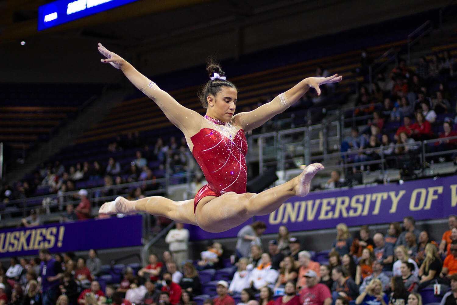 Utah Gymnastics: Regional Semifinal - SplitPrecision Photography