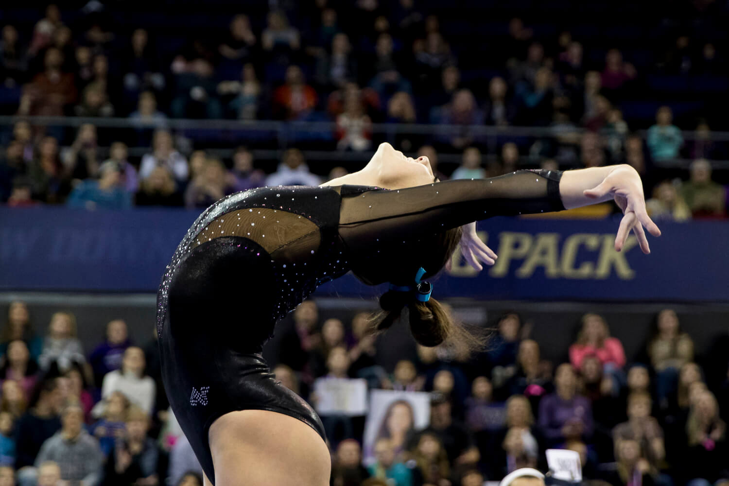 Washington Gymnastics vs Oregon State - SplitPrecision Photography